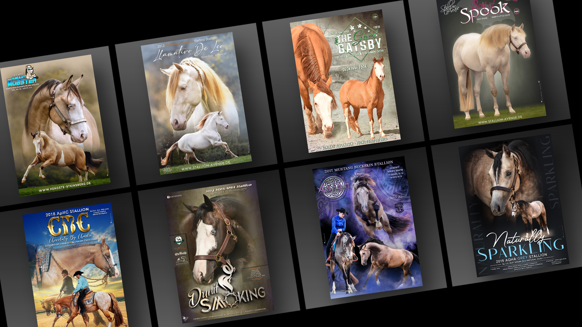 Home - Stallgassen-Design